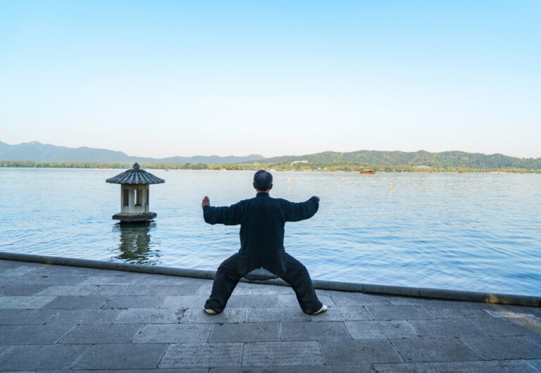 The Art of Chinese Wushu: Grace and Power Combined - chicago wushu